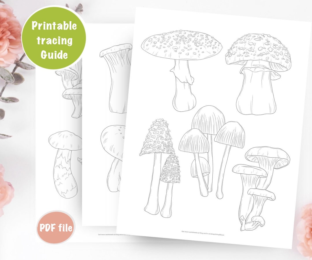 24 Mushroom Tracing Guides, Learn to Draw Mushrooms, Coloring Pages ...