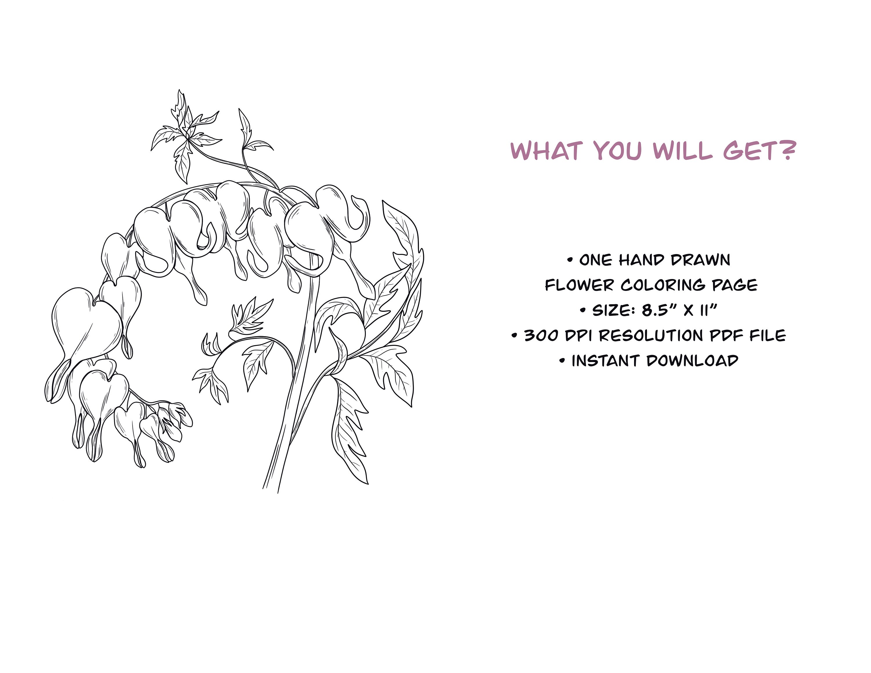 Printable Flower Coloring Pages for Adults bleeding Heart Flower ...