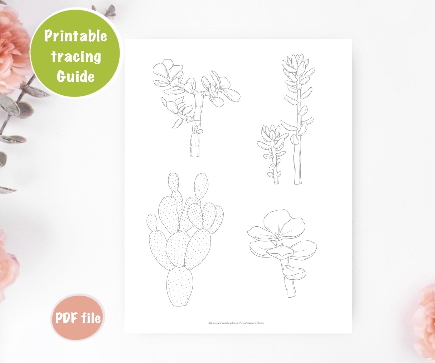 20 Cacti Succulent Tracing Guides, Learn to Draw Succulents , Coloring ...