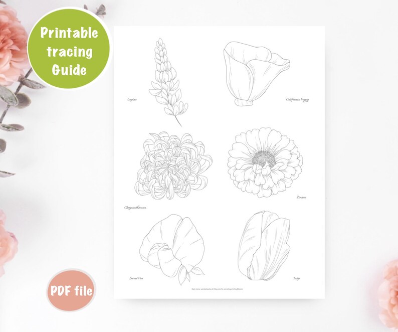 Flower Tracing Guides, Learn to Draw Flowers, Coloring Pages, Printable ...