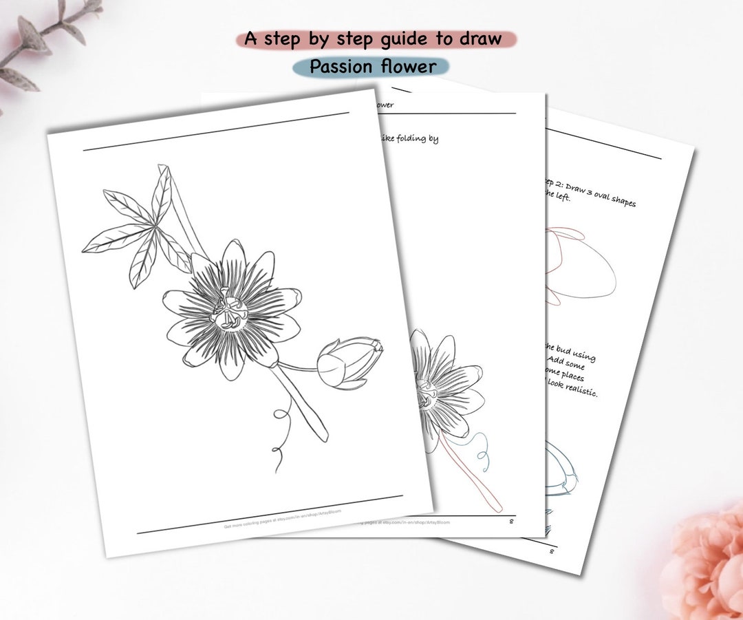 How to Draw Passion Flowers, Step by Step Drawing Guide for Beginners ...