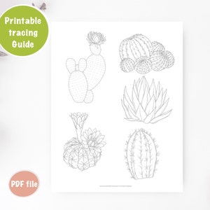 20 Cacti Succulent Tracing Guides, Learn to Draw Succulents , Coloring ...