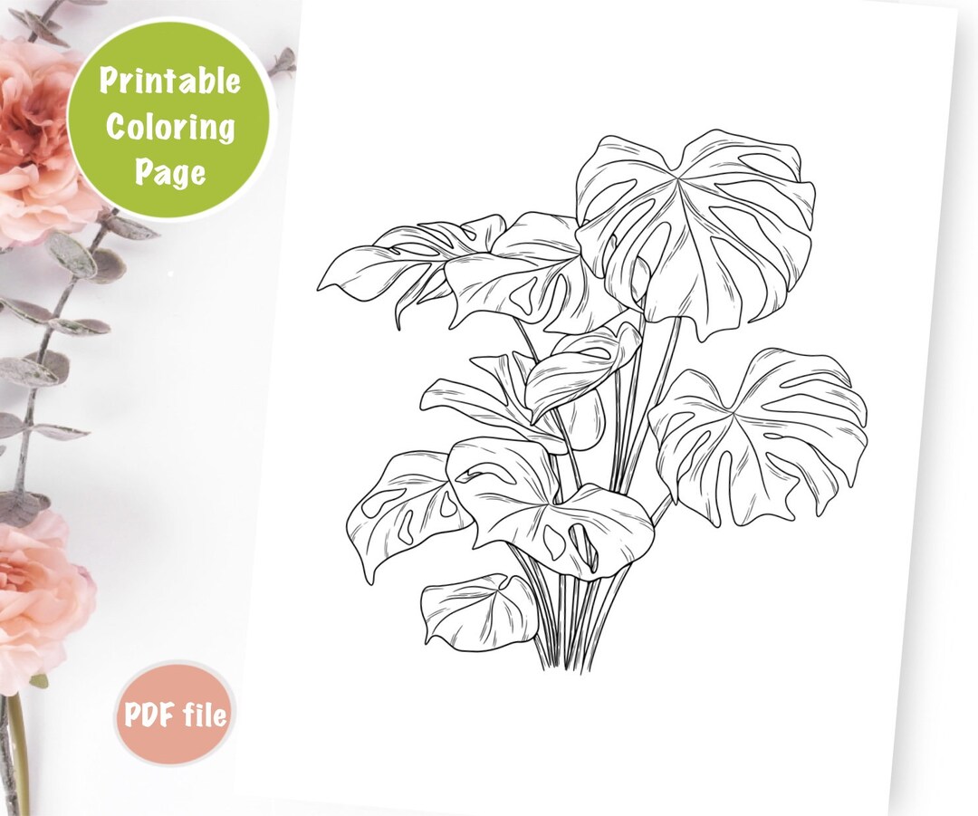 Printable Adult Coloring Page Monstera Leaf Botanical Plant - Etsy