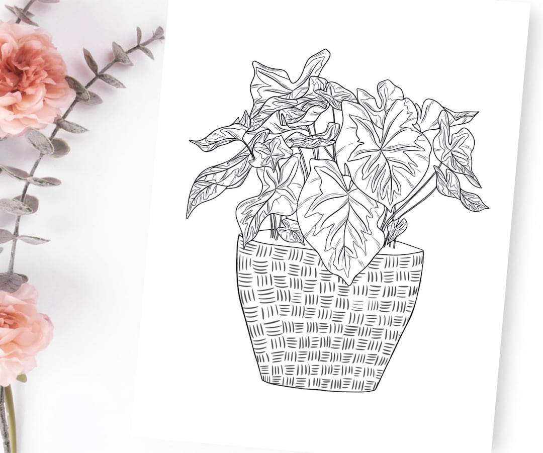 Listings Printable Adult Coloring Page, Botanical Plant Drawing, Indoor ...