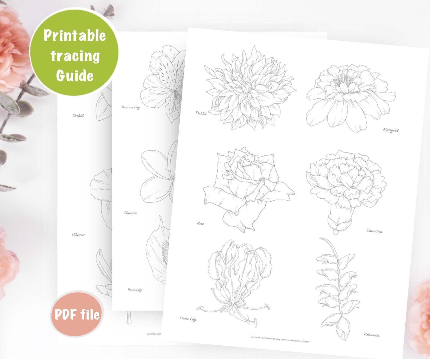 Flower Tracing Guides, Learn to Draw Flowers, Coloring Pages, Printable ...