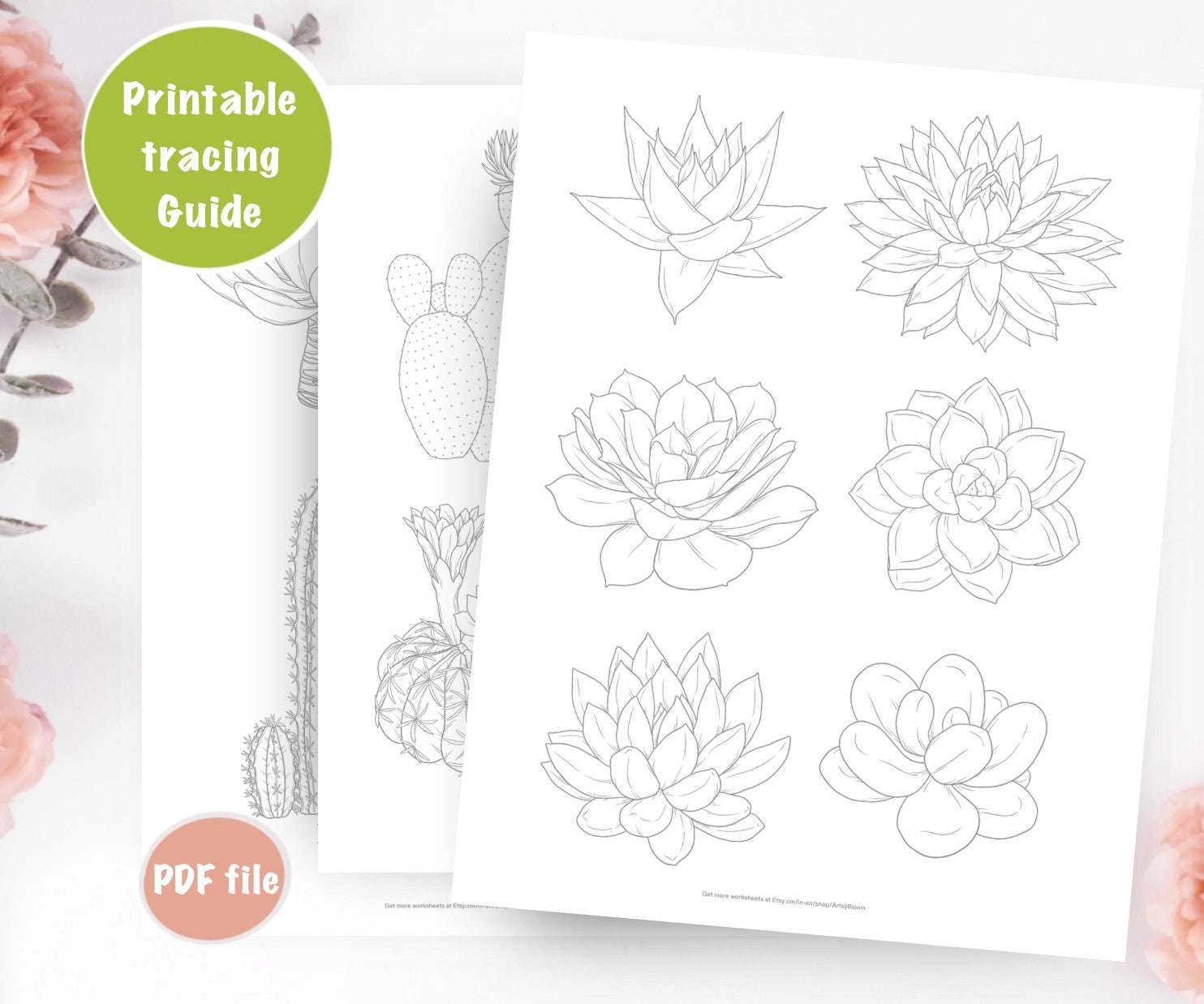 20 Cacti Succulent Tracing Guides, Learn to Draw Succulents , Coloring ...