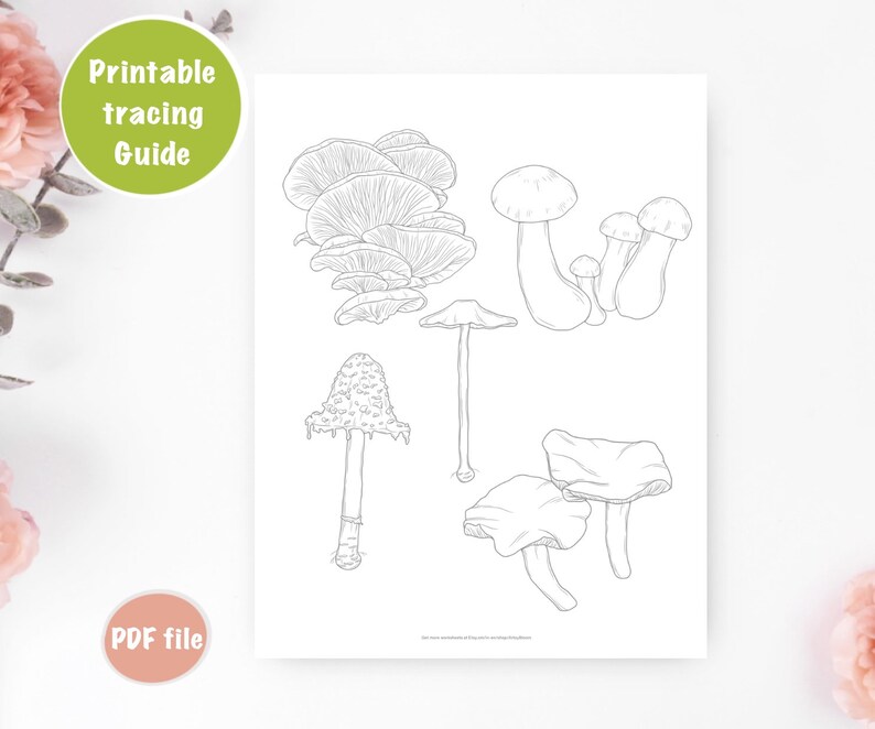 24 Mushroom Tracing Guides, Learn to Draw Mushrooms, Coloring Pages ...