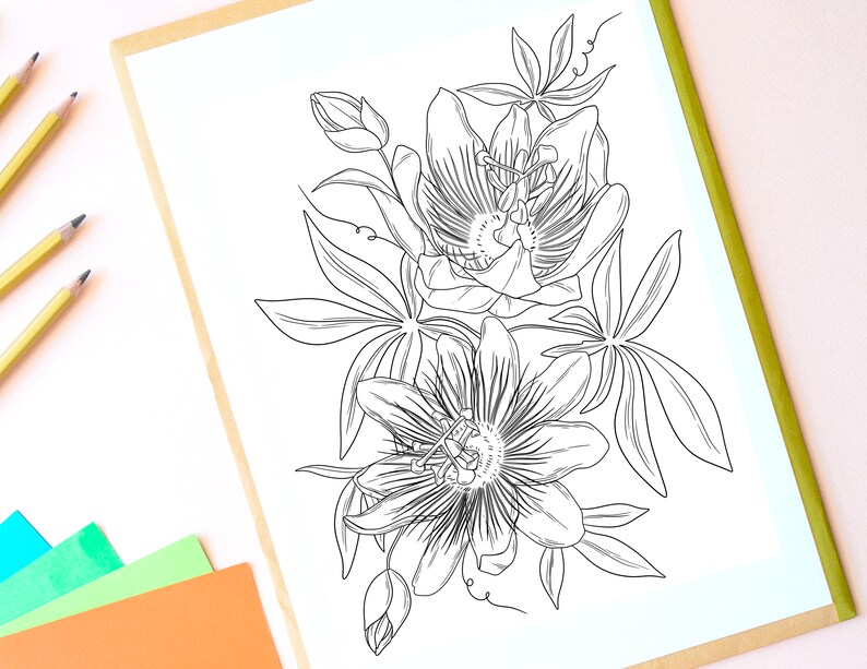 Printable Flower Coloring Pages for Adults Passion Flower Coloring ...