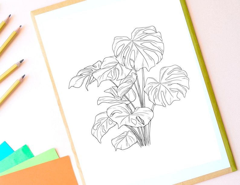 Printable Adult Coloring Page Monstera Leaf Botanical Plant - Etsy