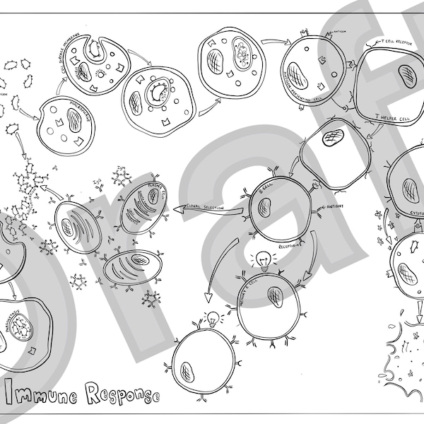 Cell Colouring Sheet - Etsy