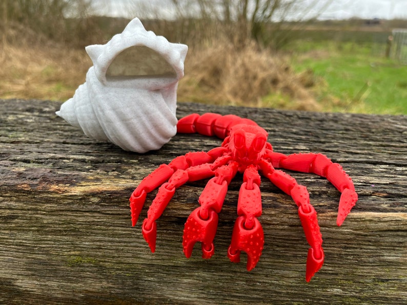 Articulated Hermit Crab Fidget Toy - Etsy
