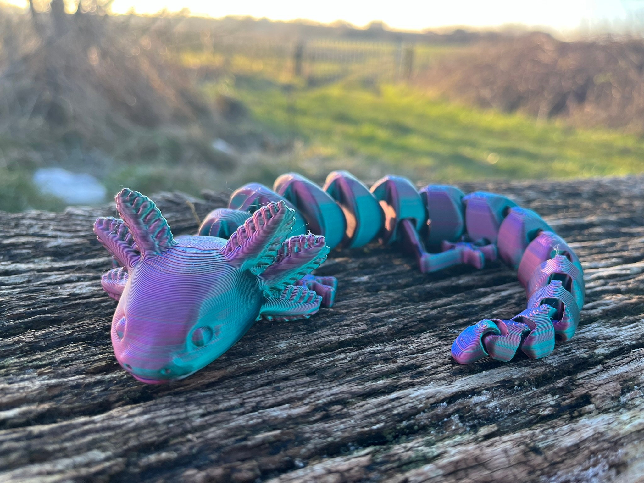 Articulated Axolotl Fidget Toys - Etsy