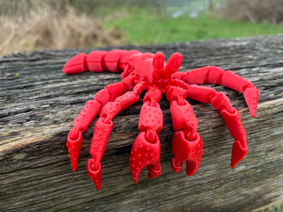 Articulated Hermit Crab Fidget Toy - Etsy