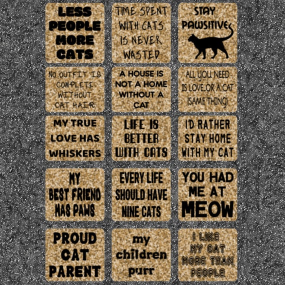 Cat Sticker/ Magnet Set 15 Stickers Removable | Etsy