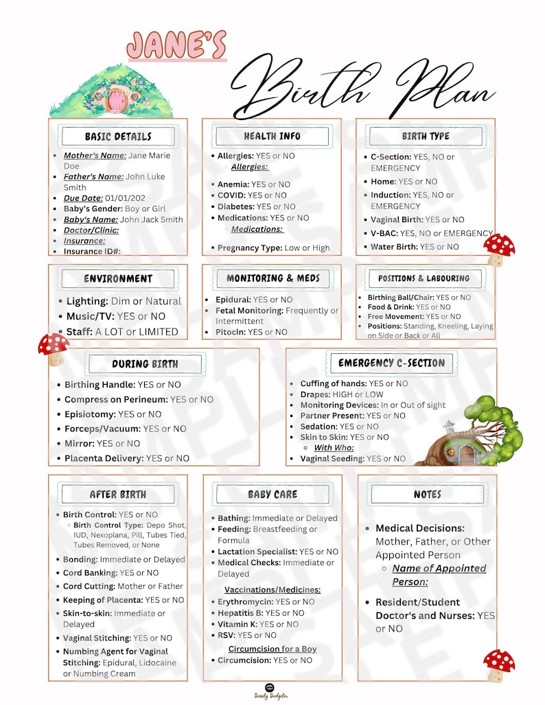 Personalized Birth Plan Printable - Etsy Canada