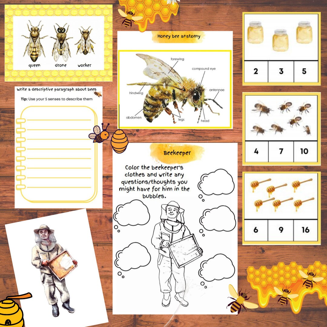 Honey Bees Unit Study - Etsy