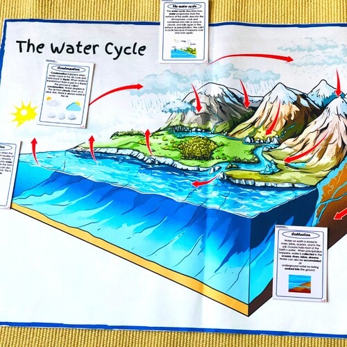 Water Cycle Felt Set/water Cycle Unit Study/homeschool - Etsy