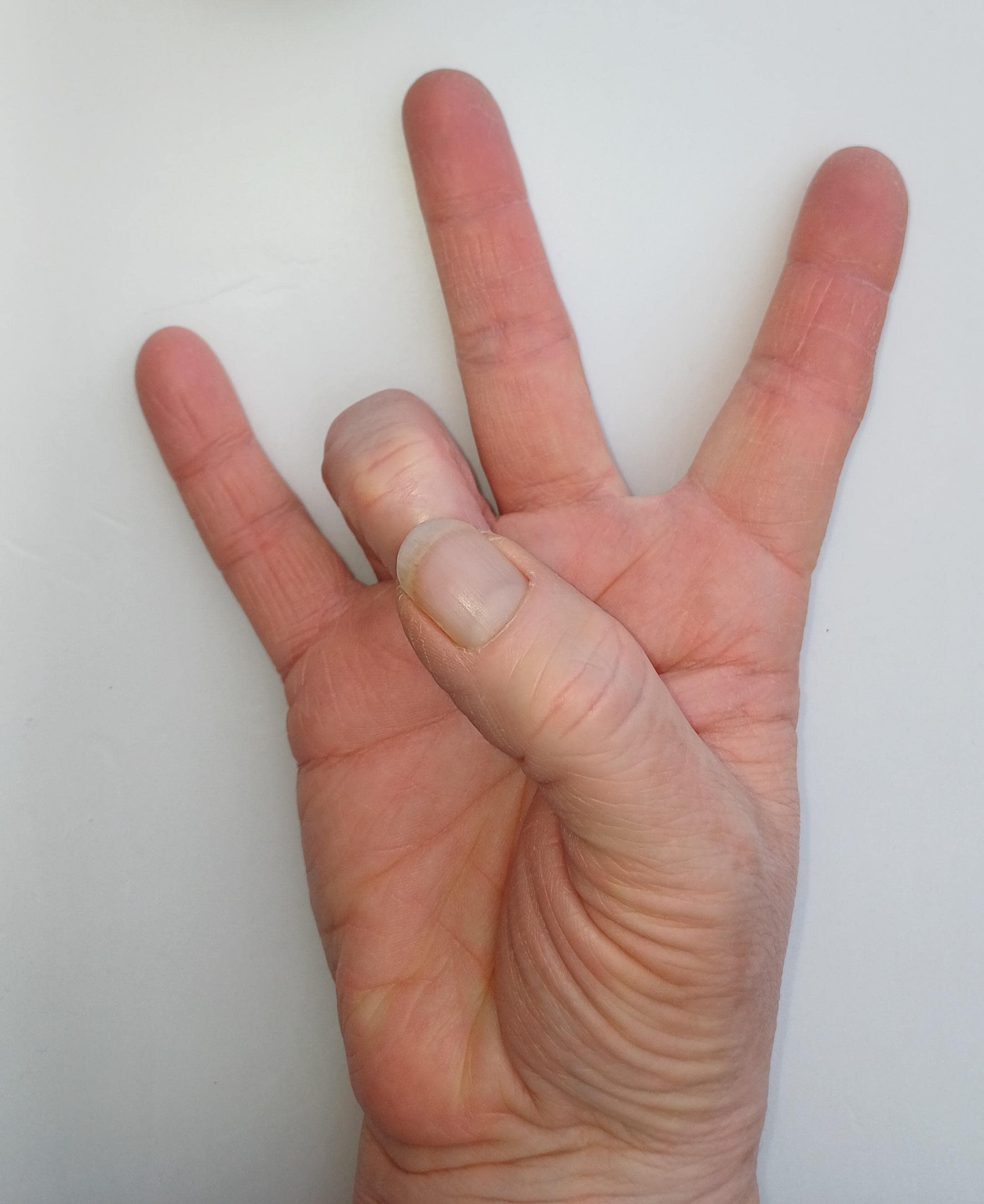 Wiggles Hand Puppet Bok - Etsy