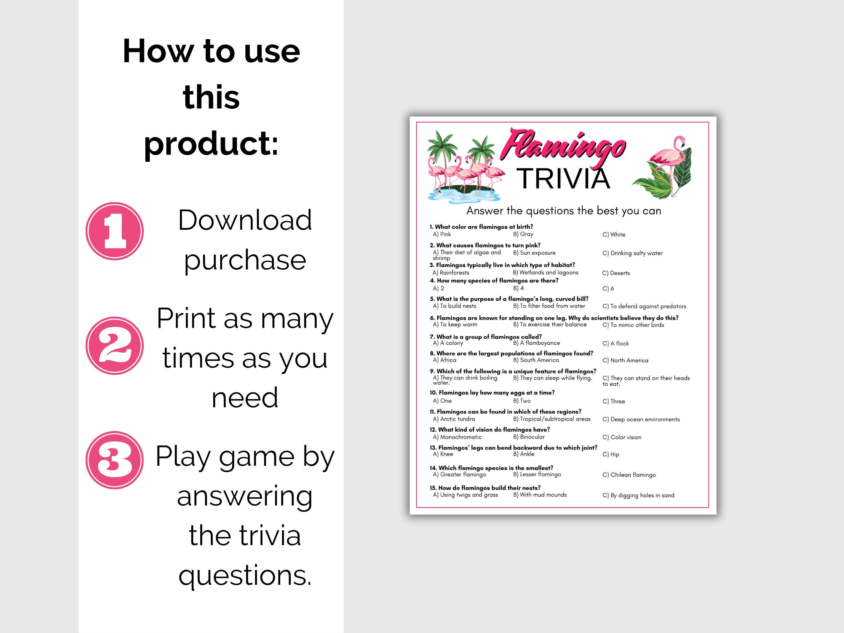 Flamingo Trivia Game, Flamingo Quiz, Printable Flamingo Game for Kids ...
