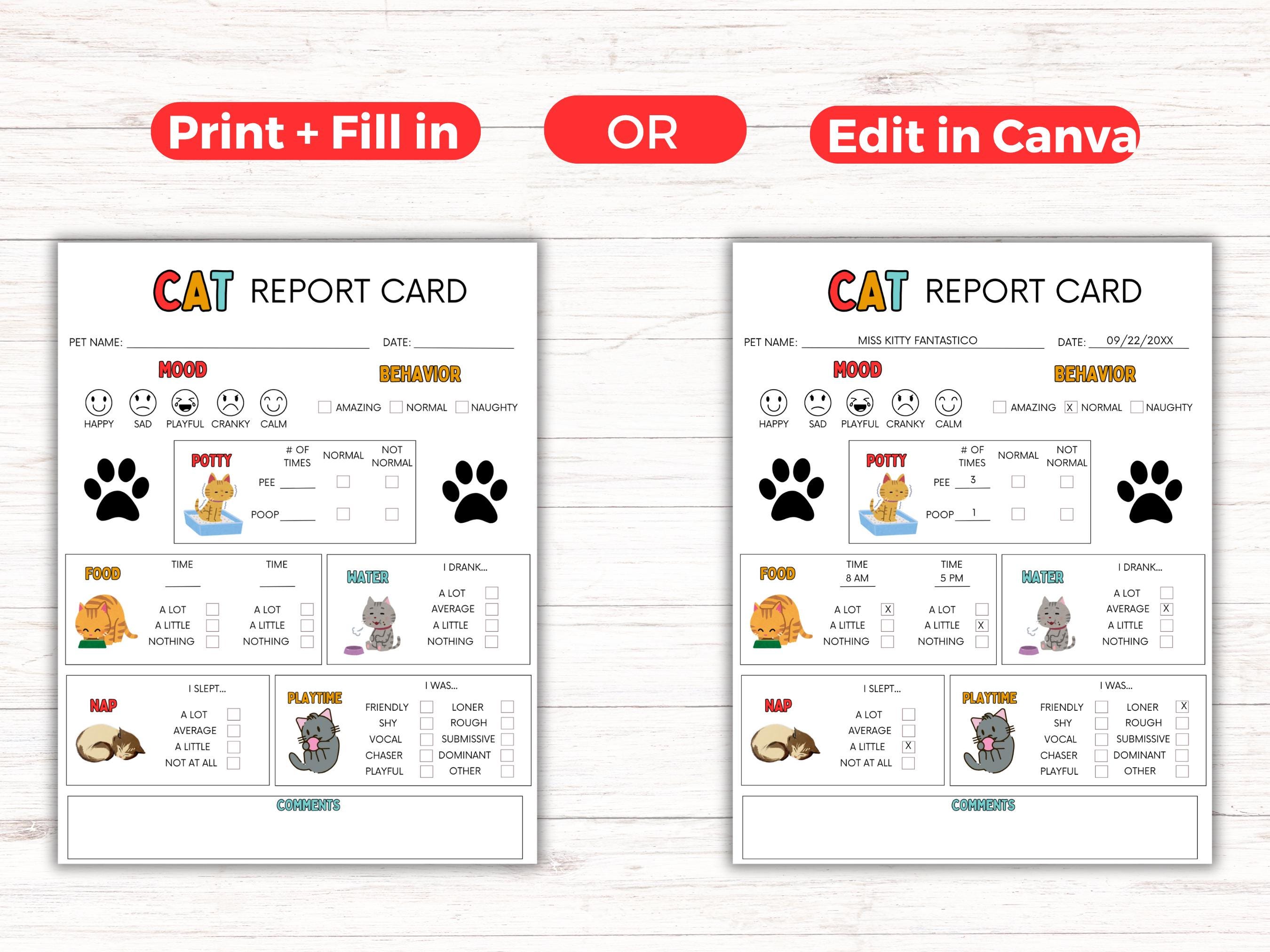 EDITABLE Cat Report Card, Cat Boarding Report, Cat Daycare Report Card ...