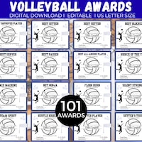 Volleyball Awards Printable, End of Year Personalized Volleyball Award ...