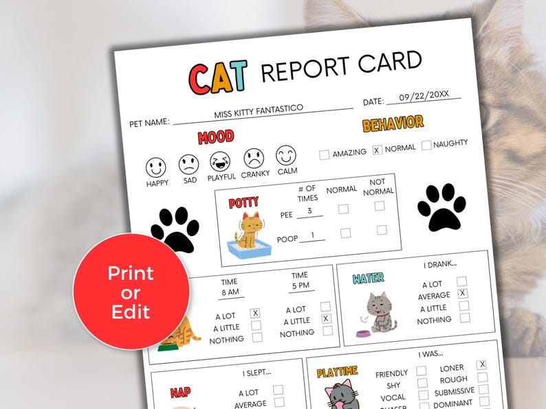 EDITABLE Cat Report Card, Cat Boarding Report, Cat Daycare Report Card ...