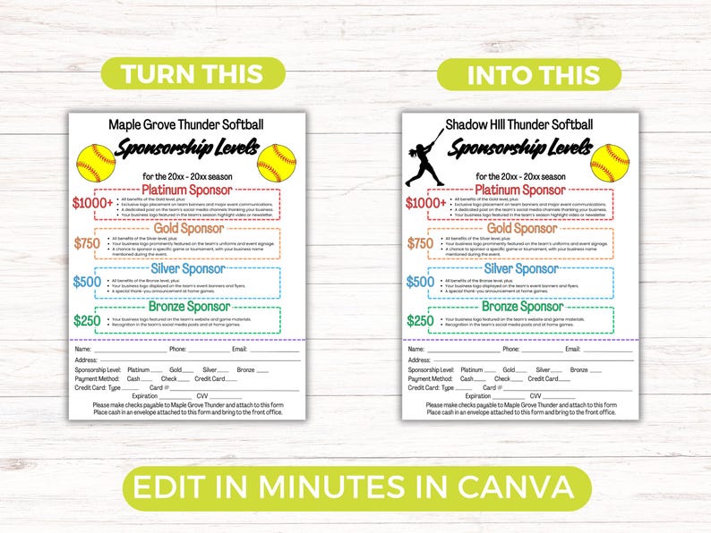 EDITABLE Softball Sponsorship Levels Flyer Template, Softball ...