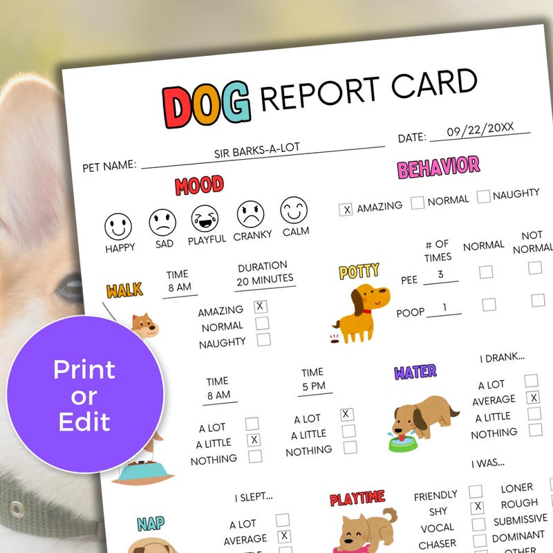 Dog Info Cards - Etsy