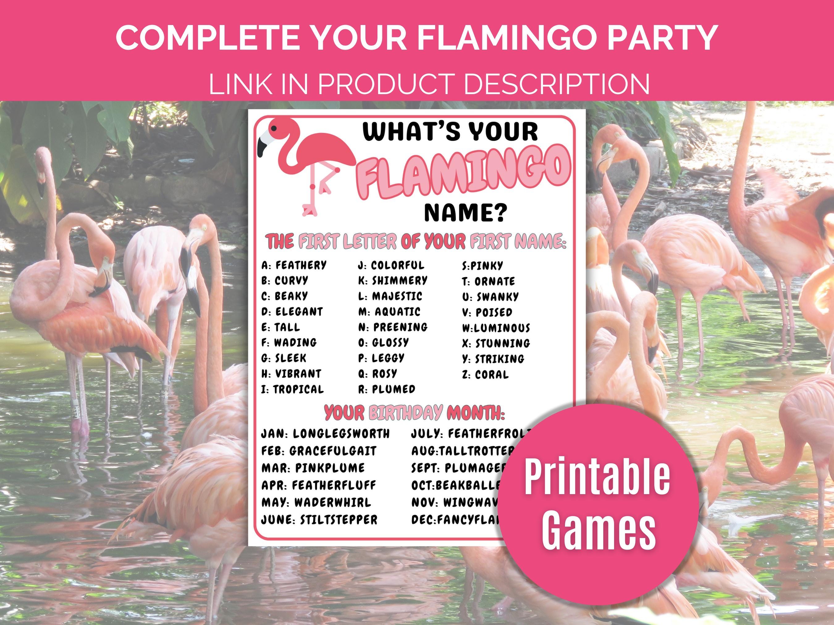 Flamingo Trivia Game, Flamingo Quiz, Printable Flamingo Game for Kids ...