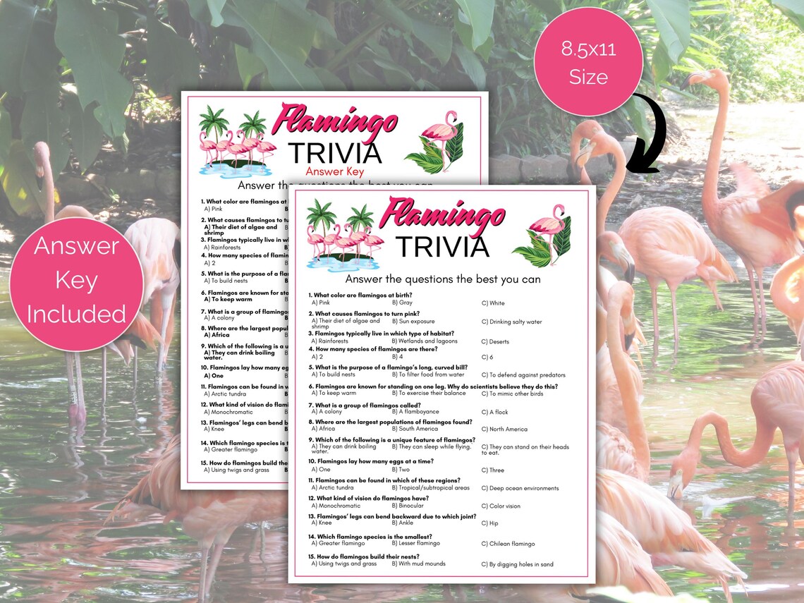 Flamingo Trivia Game, Flamingo Quiz, Printable Flamingo Game for Kids ...