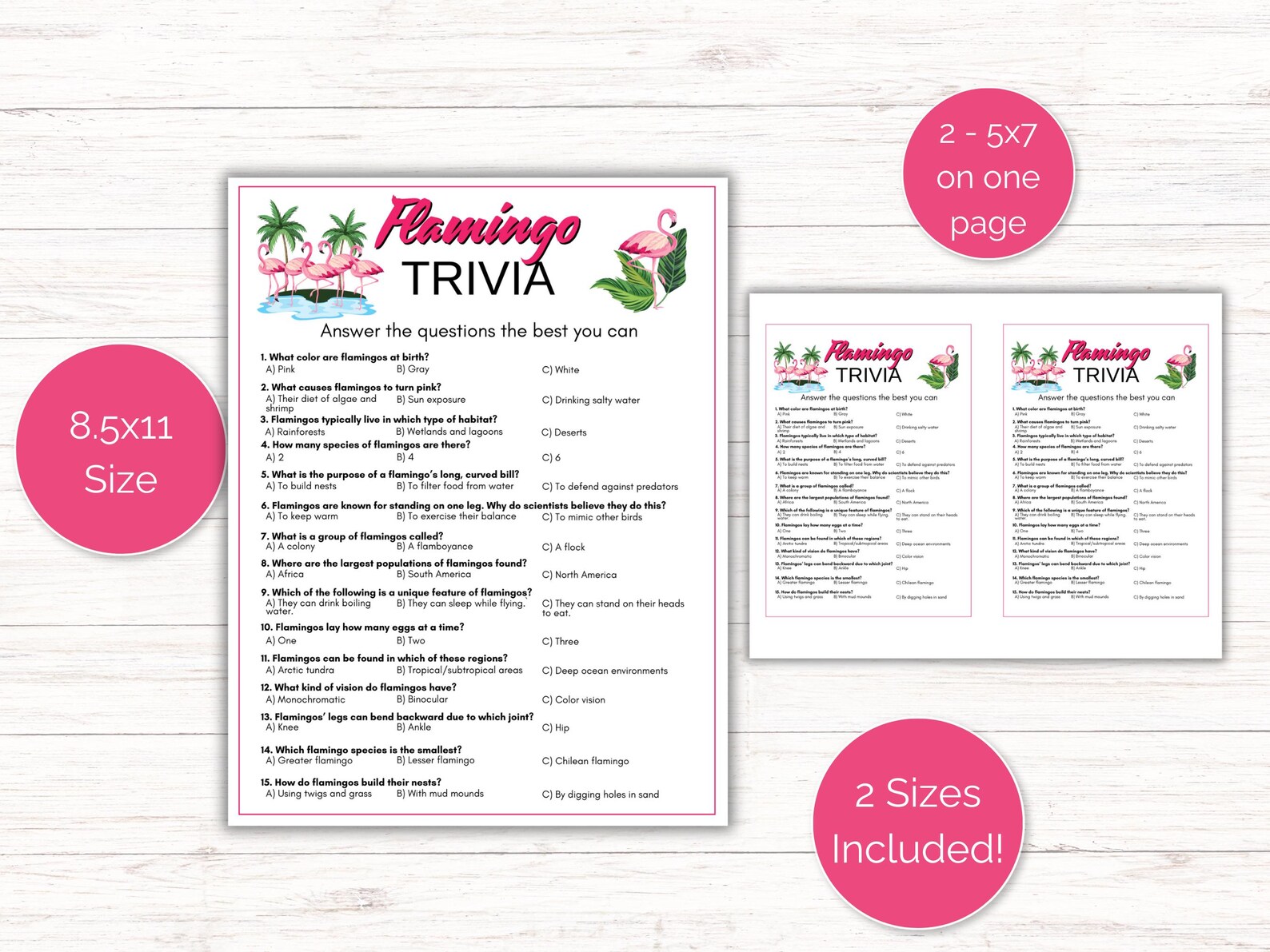 Flamingo Trivia Game, Flamingo Quiz, Printable Flamingo Game for Kids ...