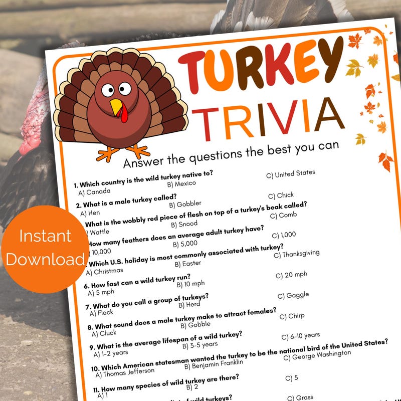 Turkey Roll Tee - Etsy