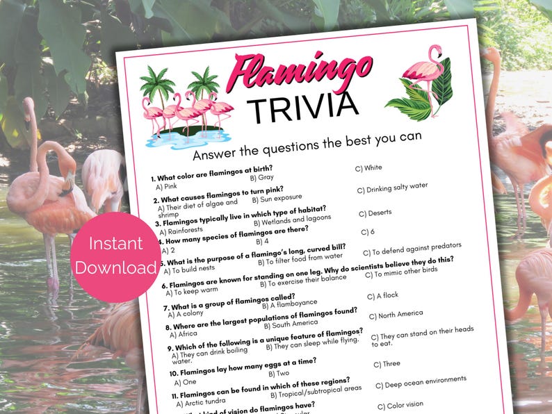 Flamingo Trivia Game, Flamingo Quiz, Printable Flamingo Game for Kids ...