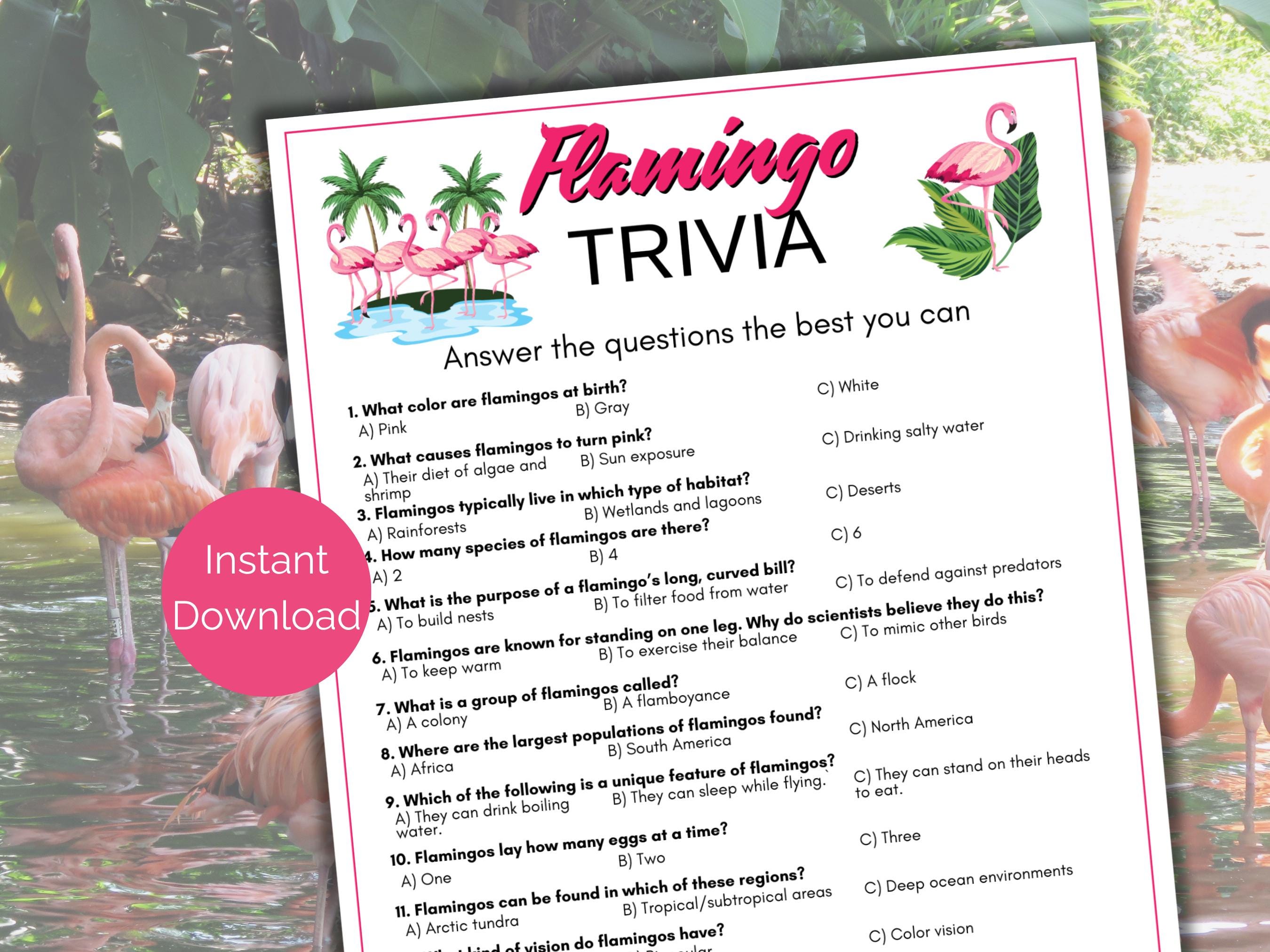 Flamingo Trivia Game, Flamingo Quiz, Printable Flamingo Game for Kids ...