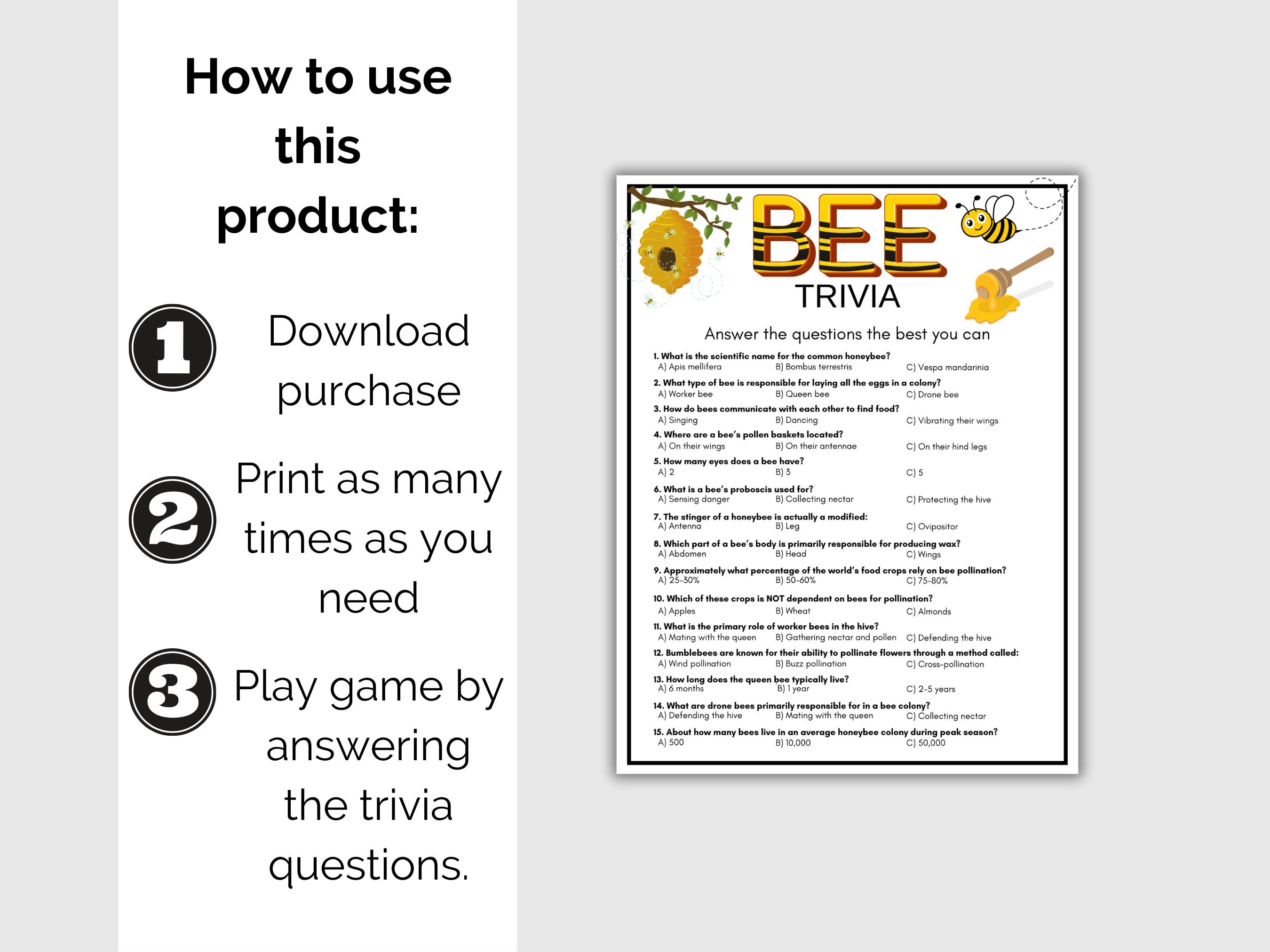 Bee Trivia Game, Bee Quiz, Printable Bee Game, Honey Bee Trivia, What ...