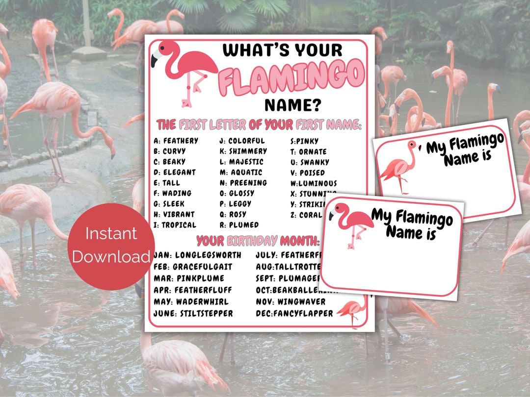 What's Your Flamingo Name Game + Name Tags, Flamingo Baby Shower Game ...