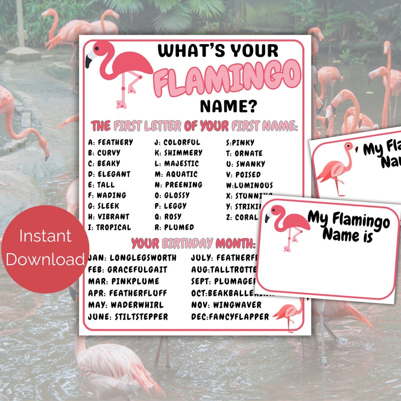 Flamingo Baby - Etsy