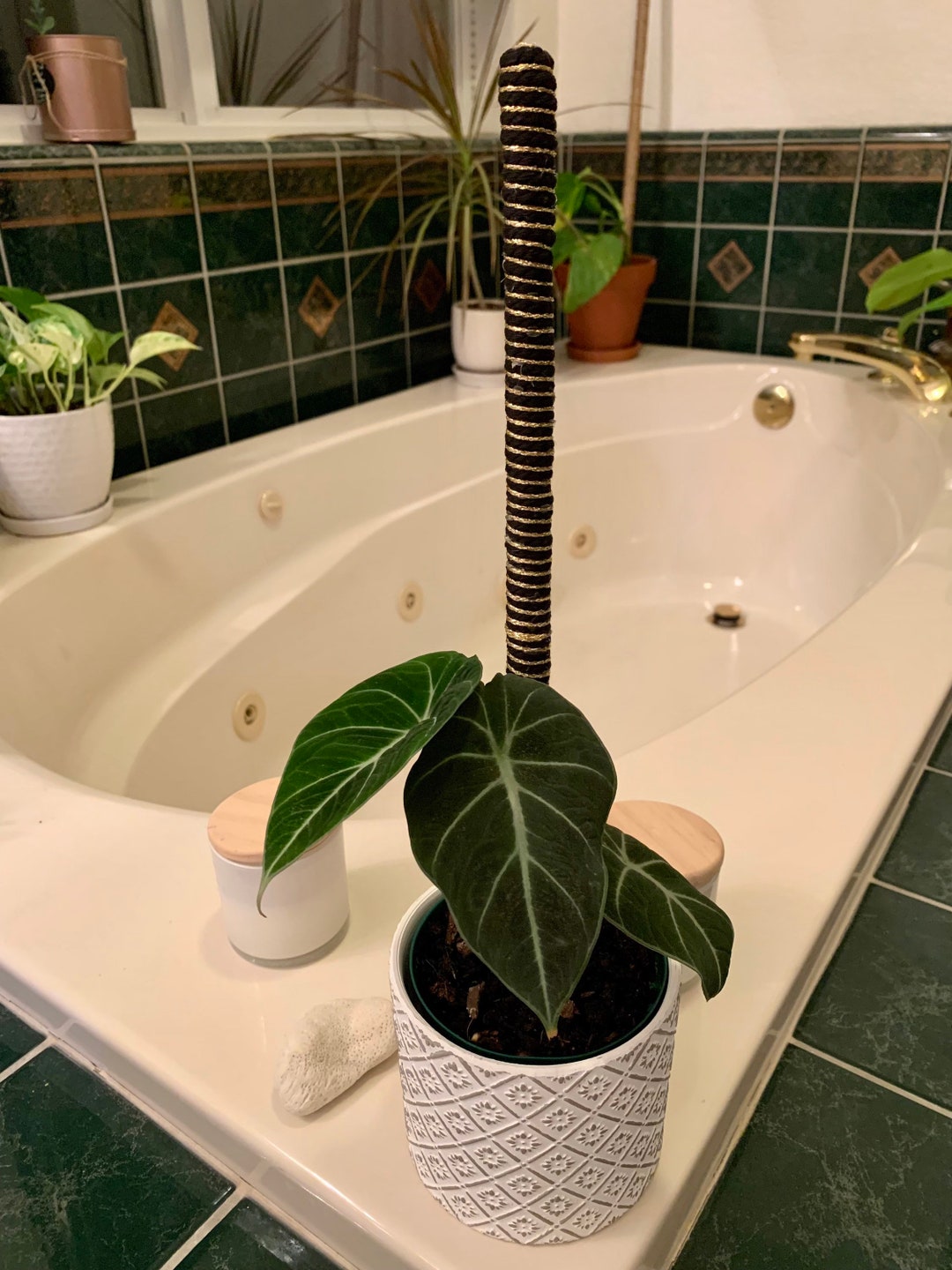 16 Inch Handmade Black Cotton Macrame Twine Plant Support Pole Stake ...