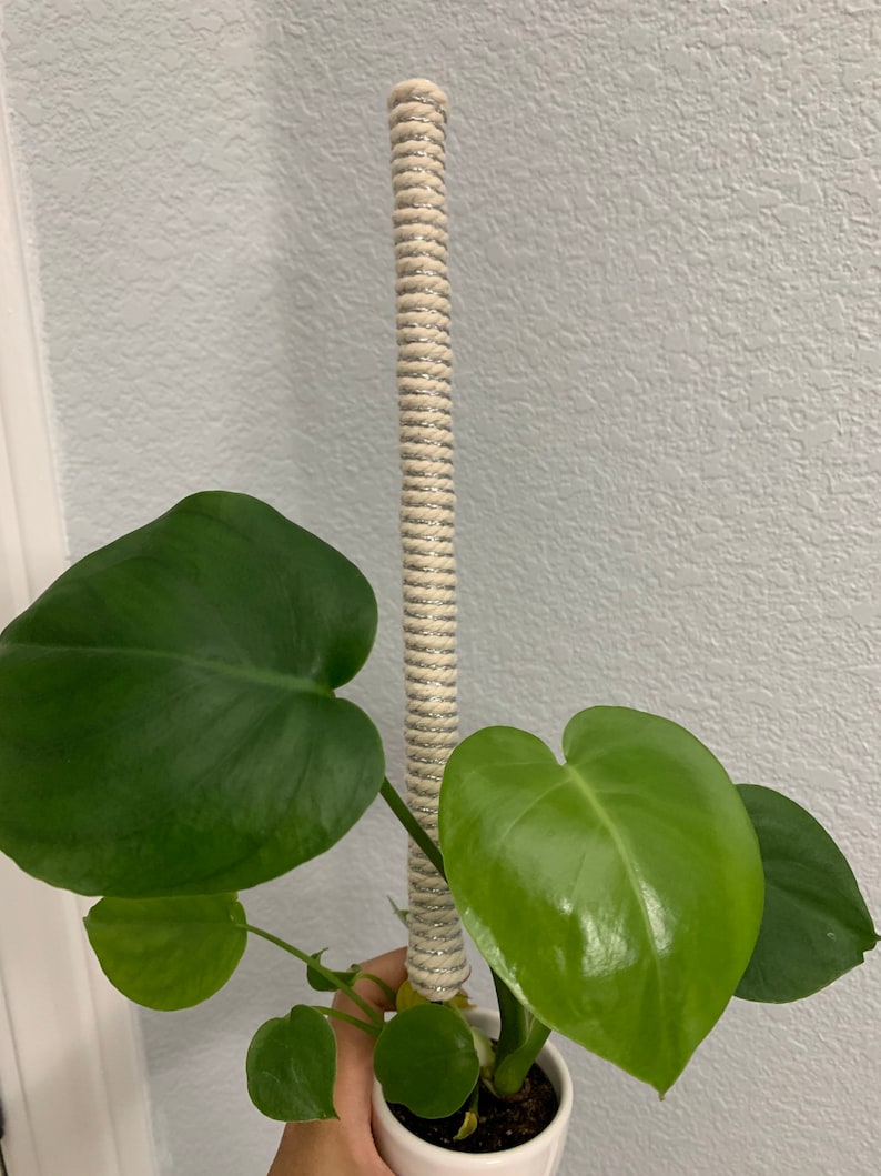 16 Inch Handmade Soft White Cotton Macrame Twine Plant Support - Etsy