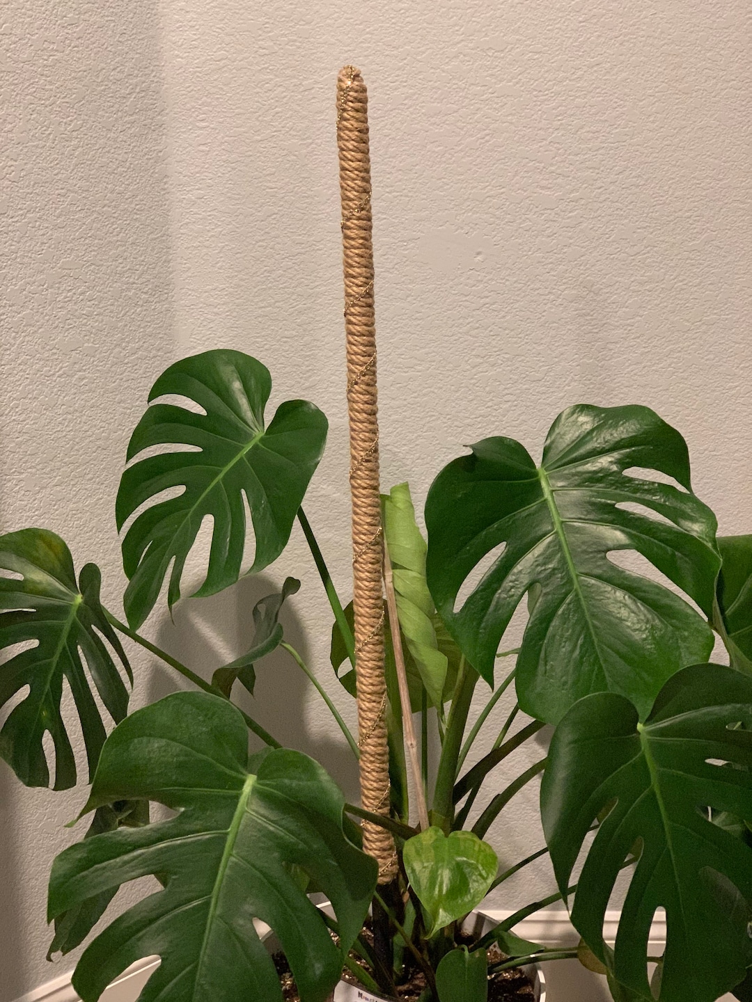 Glam Pole—36 Inch Solid Wood Handmade Jute Plant Support Pole W ...