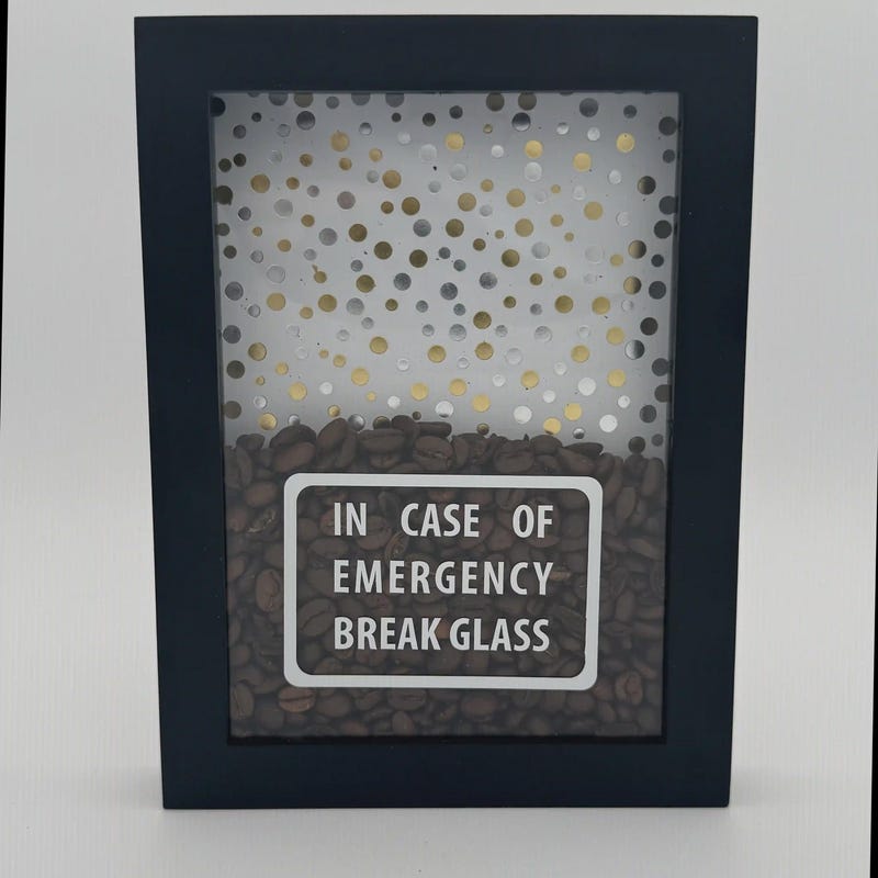 In Case of Emergency Break Glass - Etsy