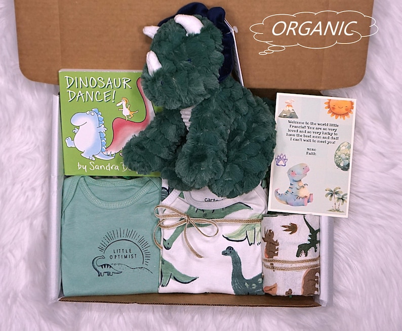 Organic Baby Boy Gift Set: Dinosaur Plush Toy & Onesies - Etsy