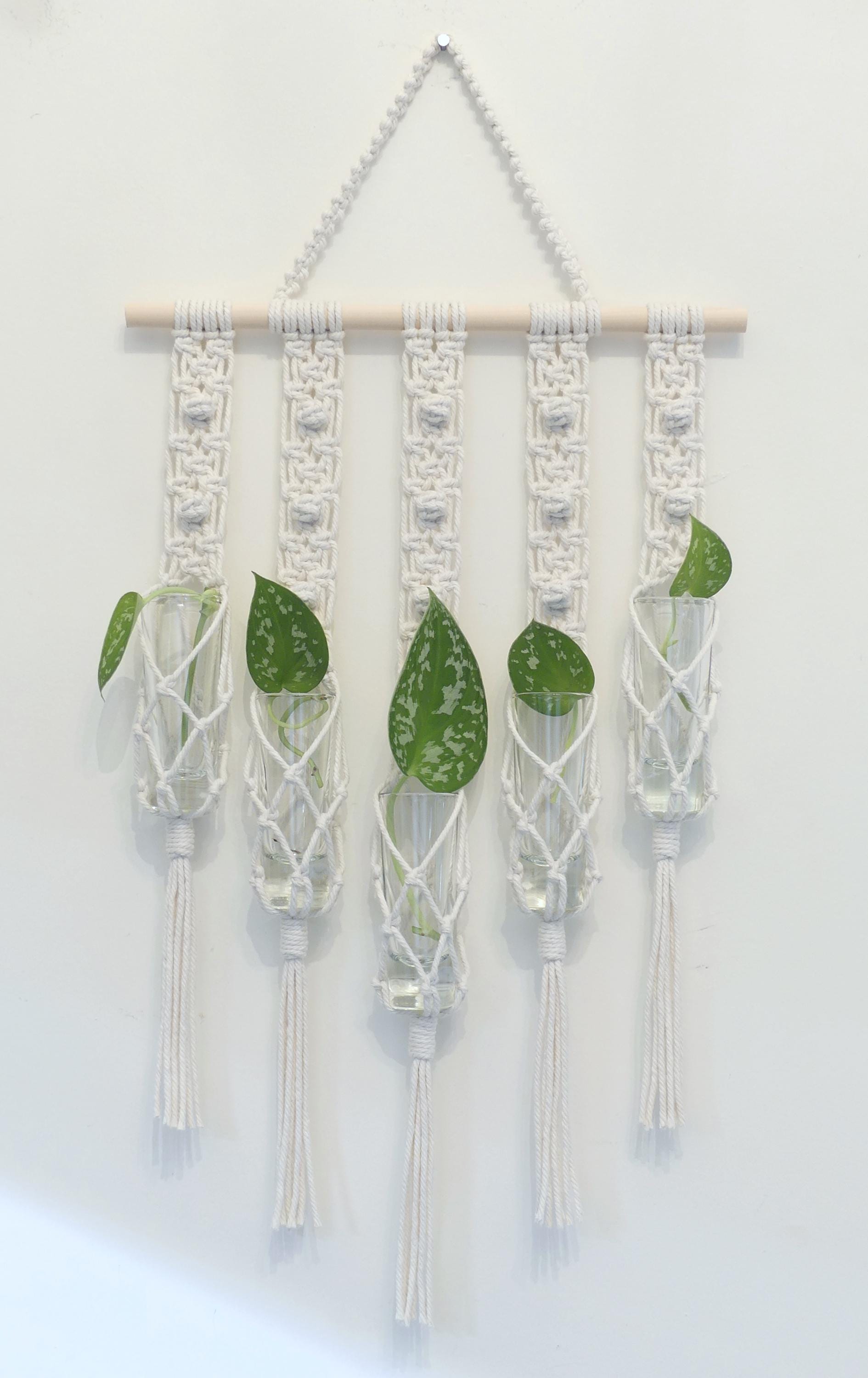 Plant Propagation and Cut-flower Station Instructions - Etsy
