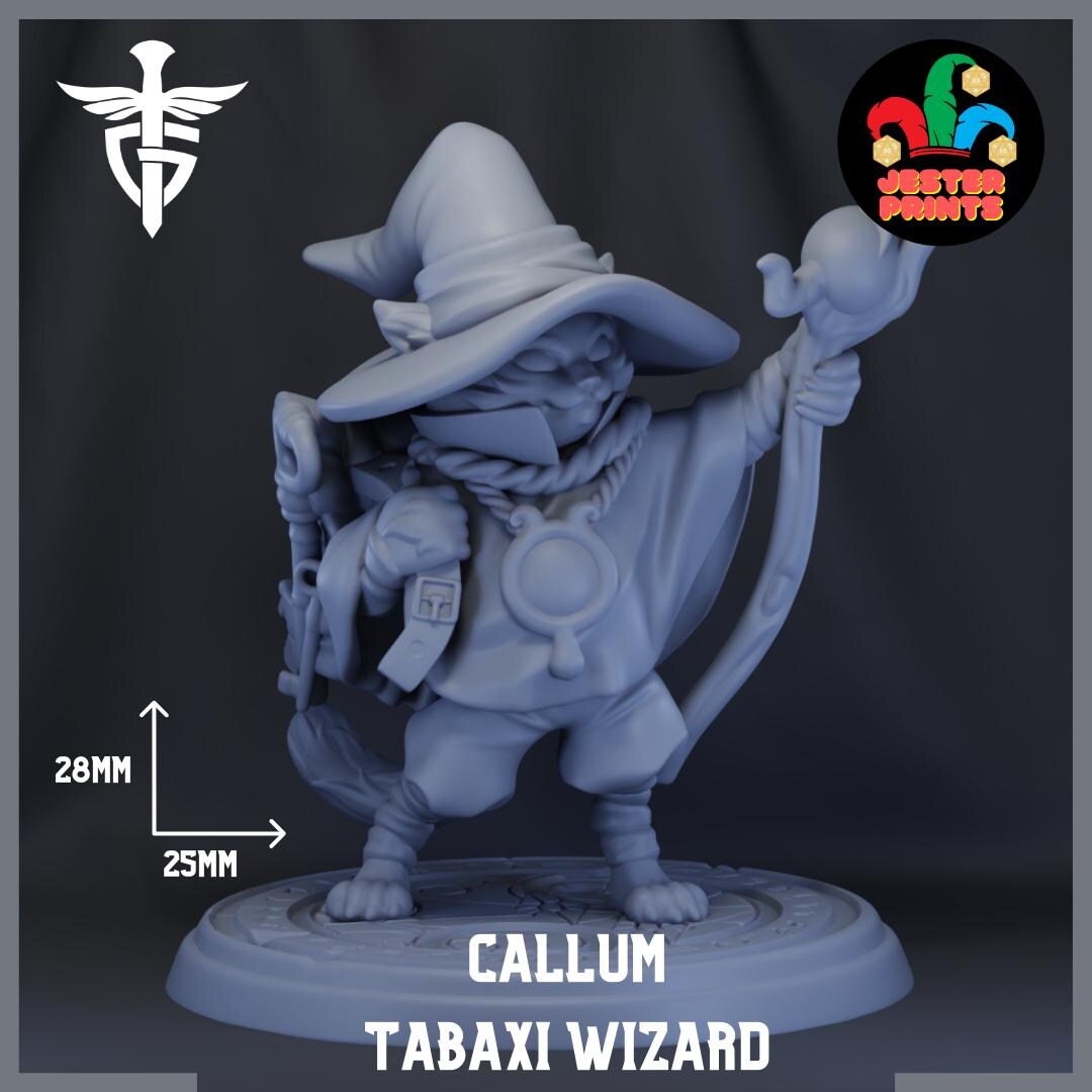 Callum | Tabaxi Wizard | Medium | Oaken Hollow Heroes 2. | Twin Goddess Miniatures - Etsy