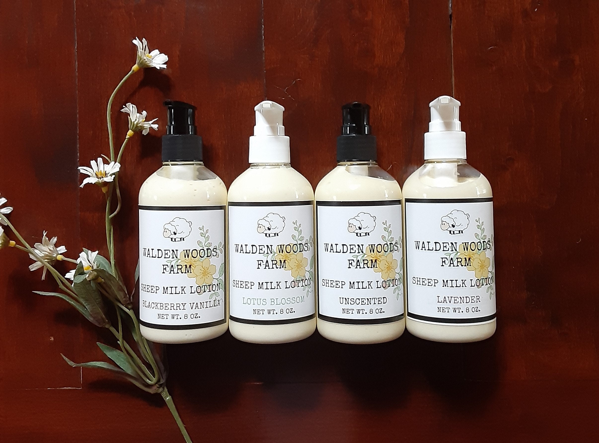 Sheep Milk Lotion | Etsy