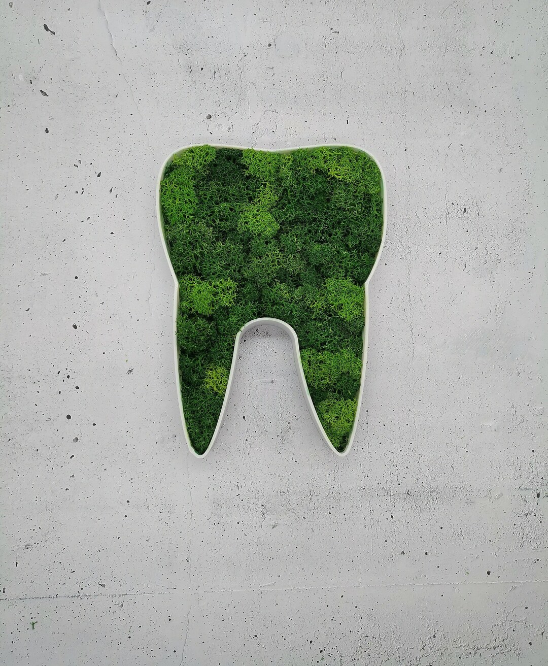 Tooth Filled With Moss, Moss Tooth, Dentist's Office Gift, Dentist Gift ...