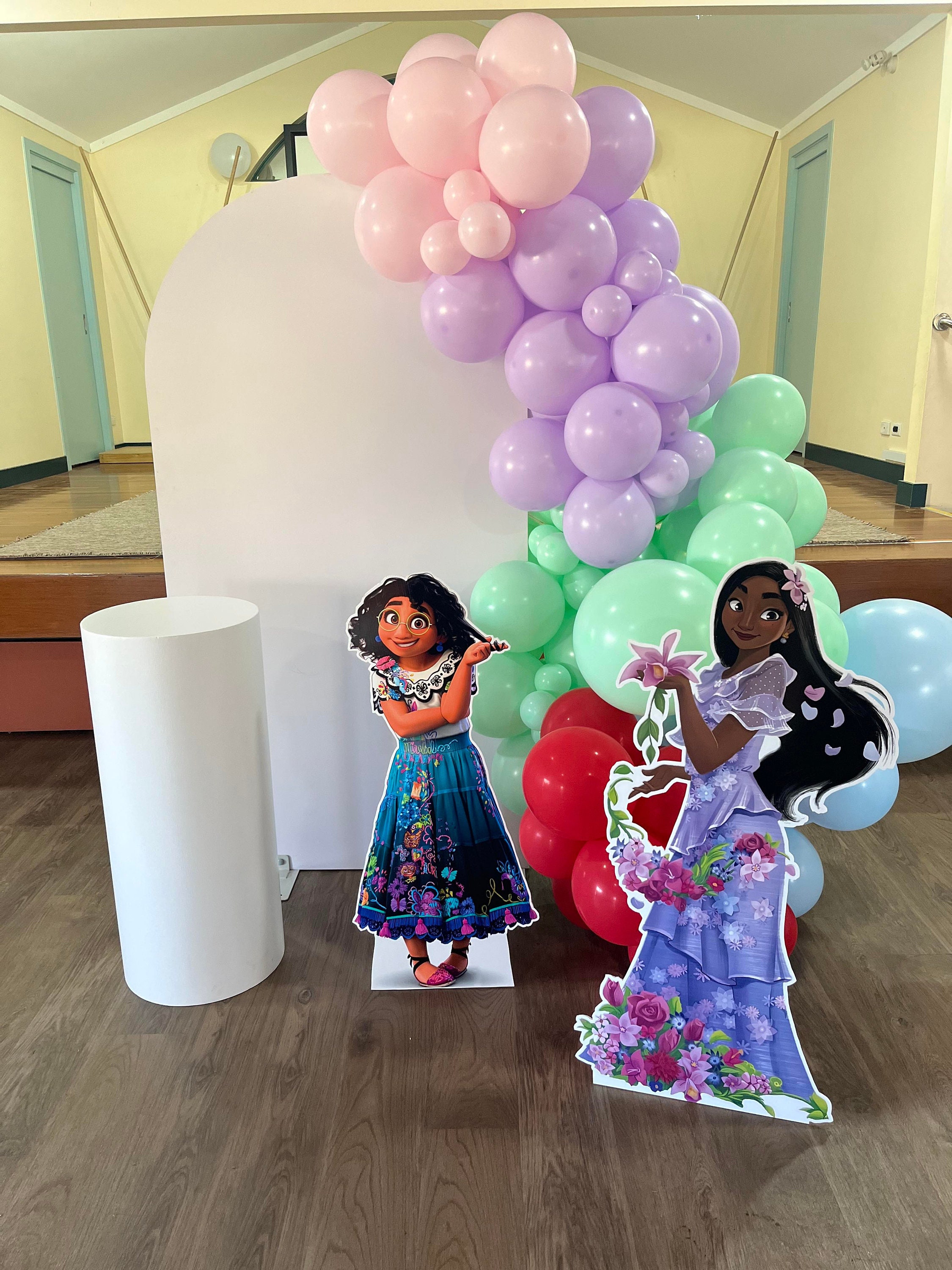 Bluey Bluey and Bingo Cutout Party Character Cutout Prop - Etsy Australia