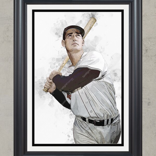Ted Williams - Etsy