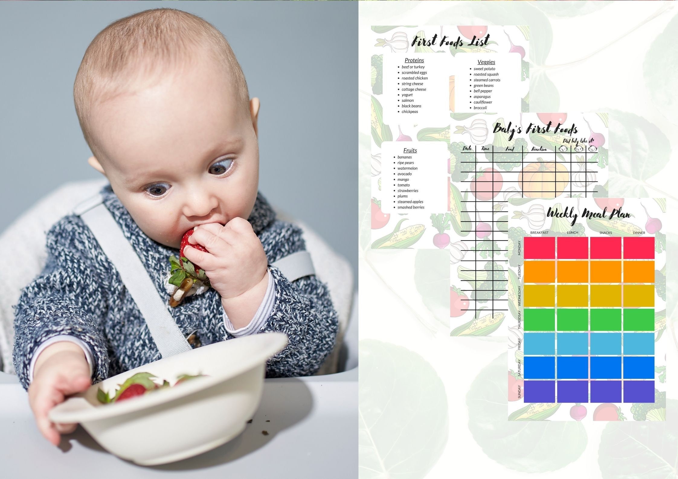 Baby's First Foods Baby Led Weaning Menu Planner Baby - Etsy España