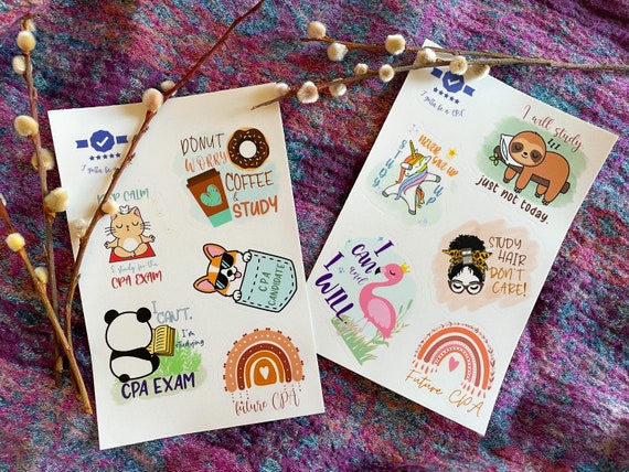 CPA Exam Sticker Bundle 6 Stickers on One Sheet Vinyl | Etsy